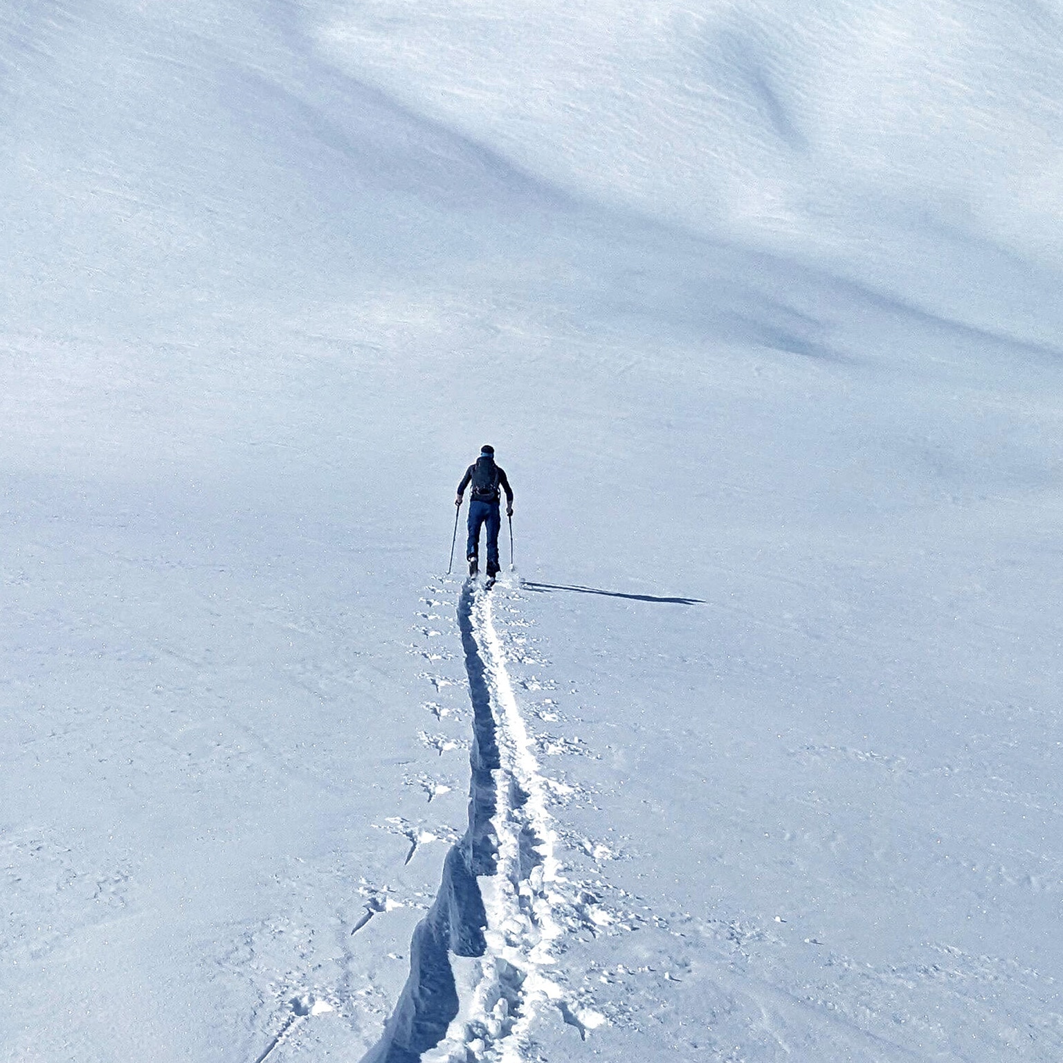 Special Episode Davos Highlights 2026 Mckinsey